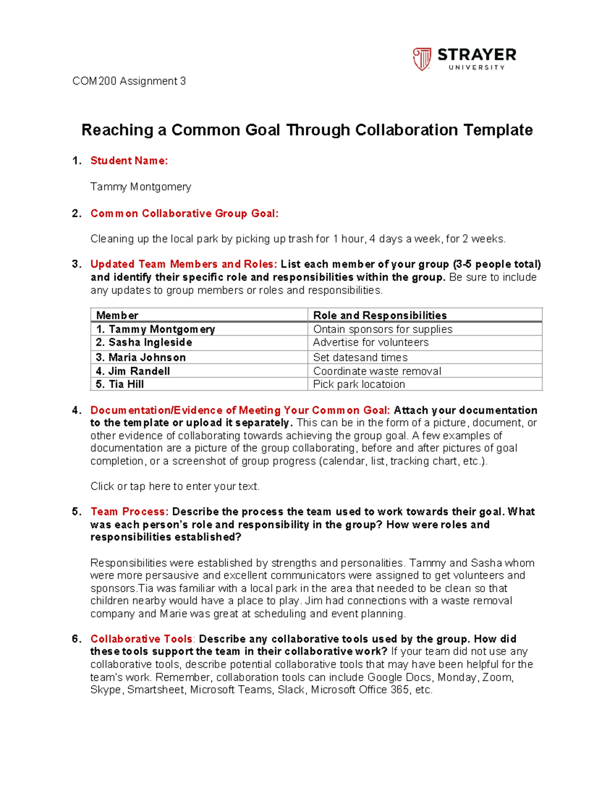 Cf Common Goal Template (1) - Copy - COM200 Assignment 3 Reaching a ...