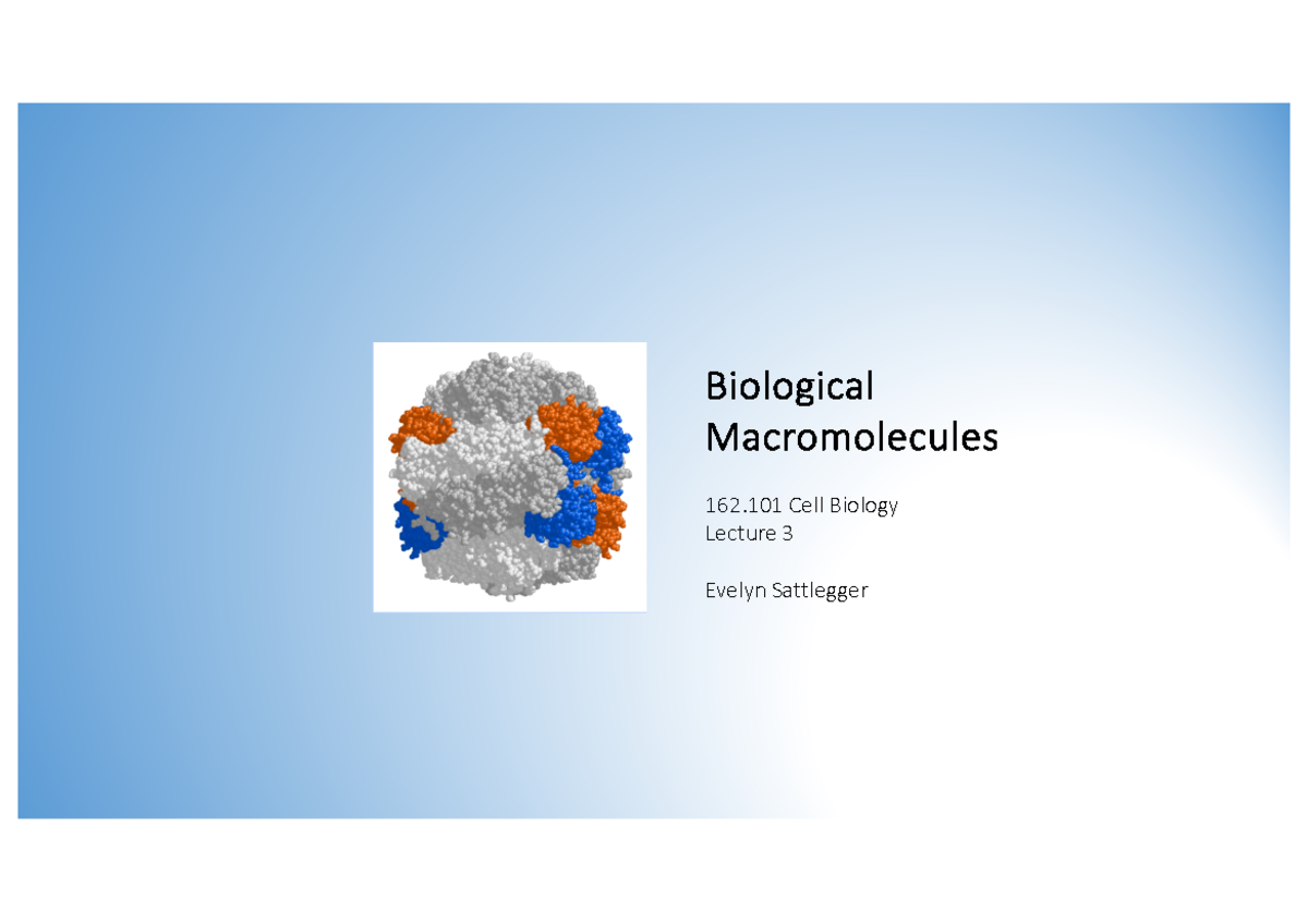 L3 HO Macromolecules - notes - Biological Macromolecules 162 Cell ...