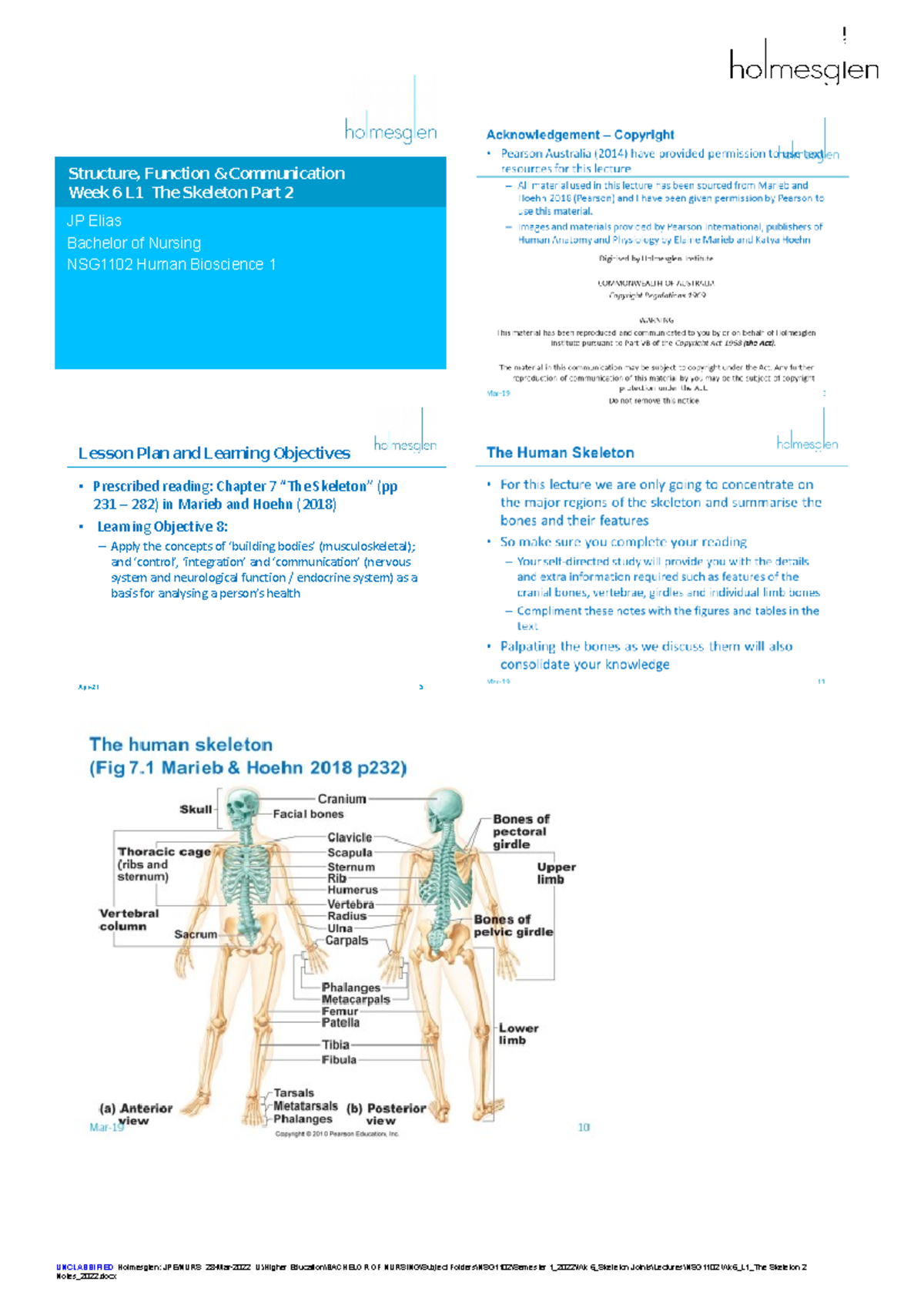 Skeleton 2 Notes 2022 - Structure, Function & CommunicationWeek 6 L1 ...