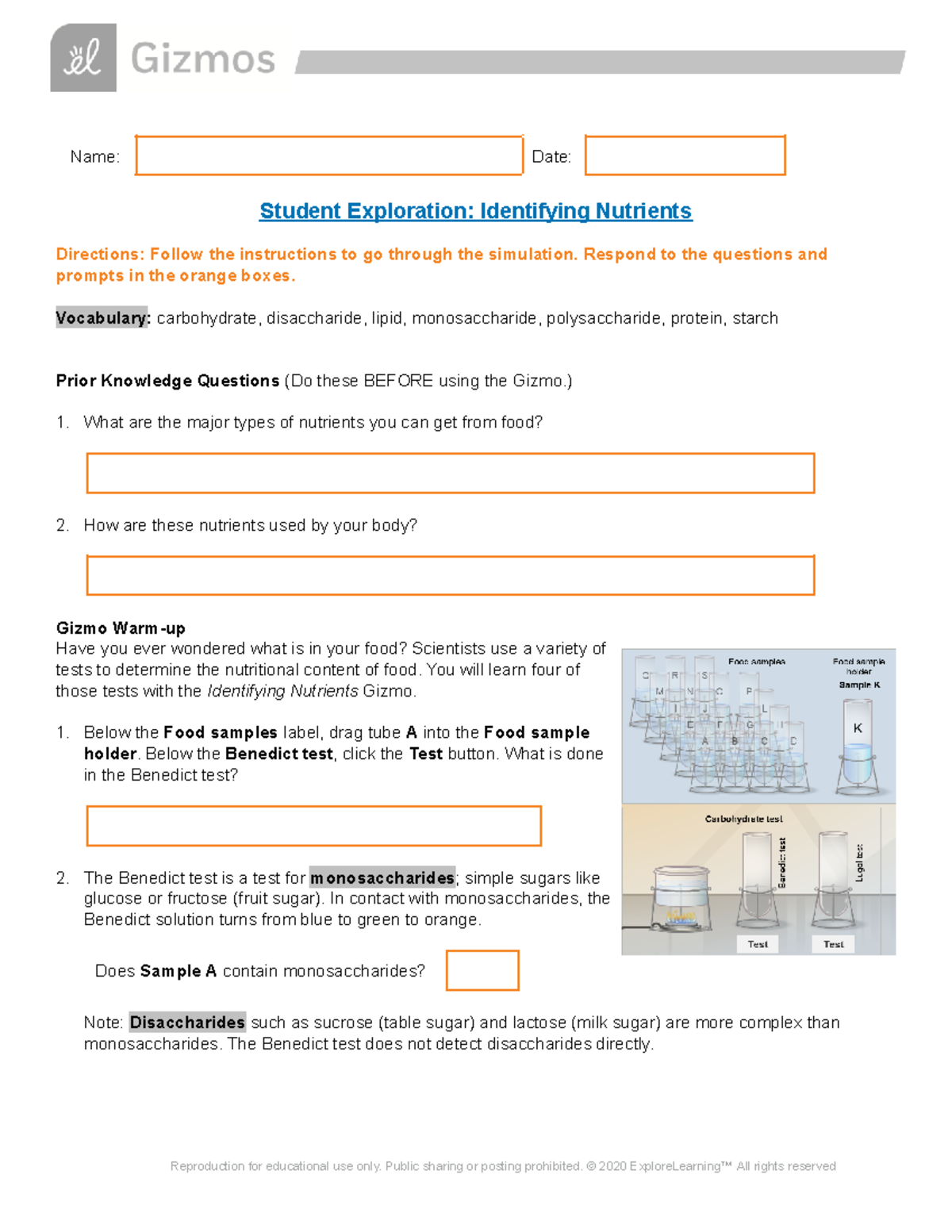 Copy of Indentifying Nutrient Student Sheet - Name: Date: Student Exploration: Identifying ...