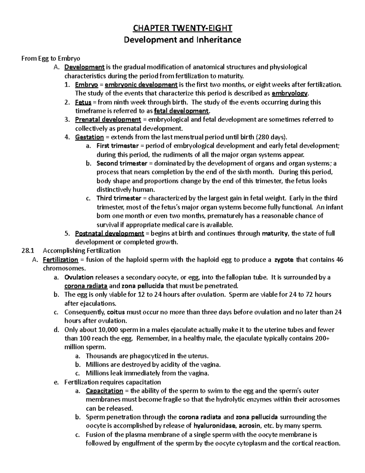 Chapter 28 Outline - Notes - CHAPTER TWENTY-EIGHT Development and ...