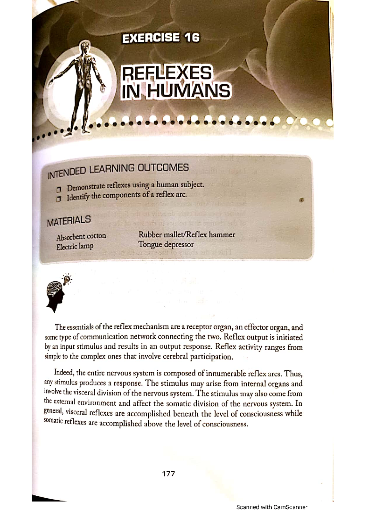 Reflexes in Humans - Human Anatomy - Human Anatomy and Physiology ...