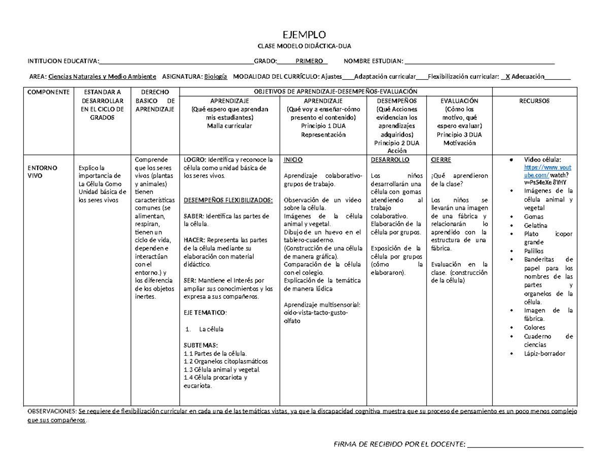 Ejemplo DUA - EJEMPLO CLASE MODELO DIDÁCTICA-DUA INTITUCION EDUCATIVA ...