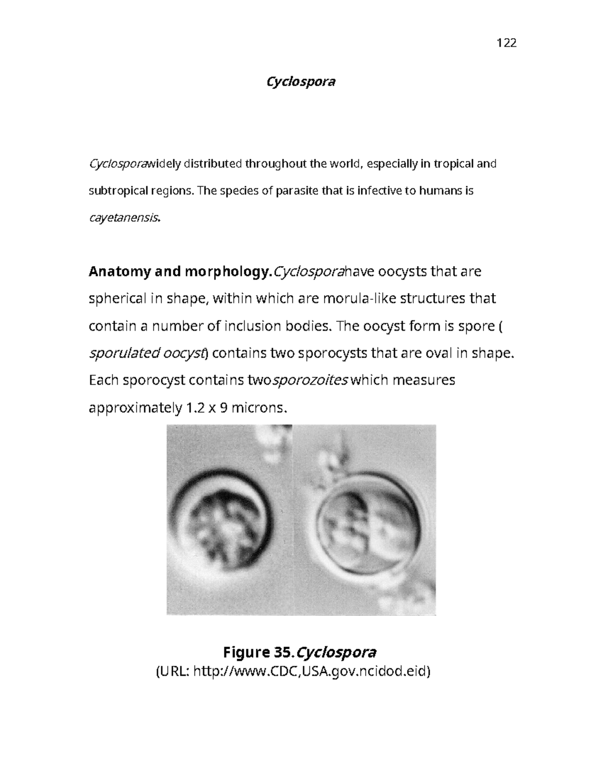 Medical - Clinical Symptoms and Diagnosis 22-28 - Cyclospora ...