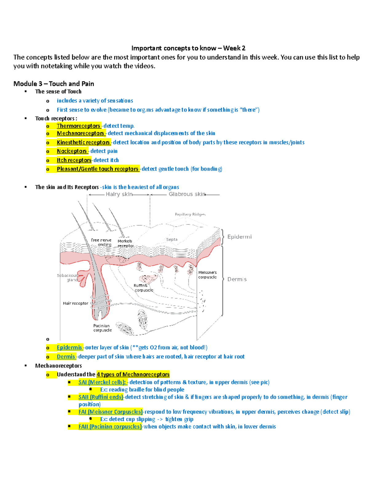 Module 2 Study Guide - Important concepts to know – Week 2 The concepts ...