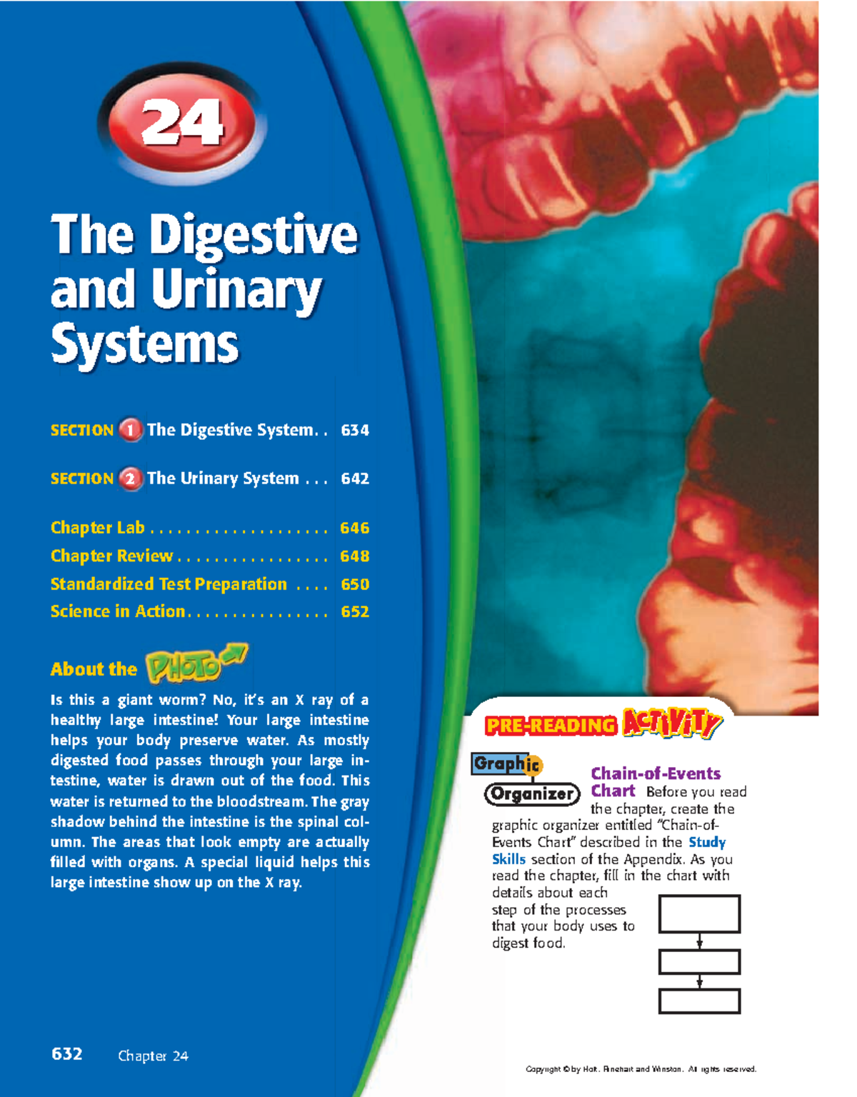 The Digestive and Urinary Systems - PRE-READINGPRE-READING The ...