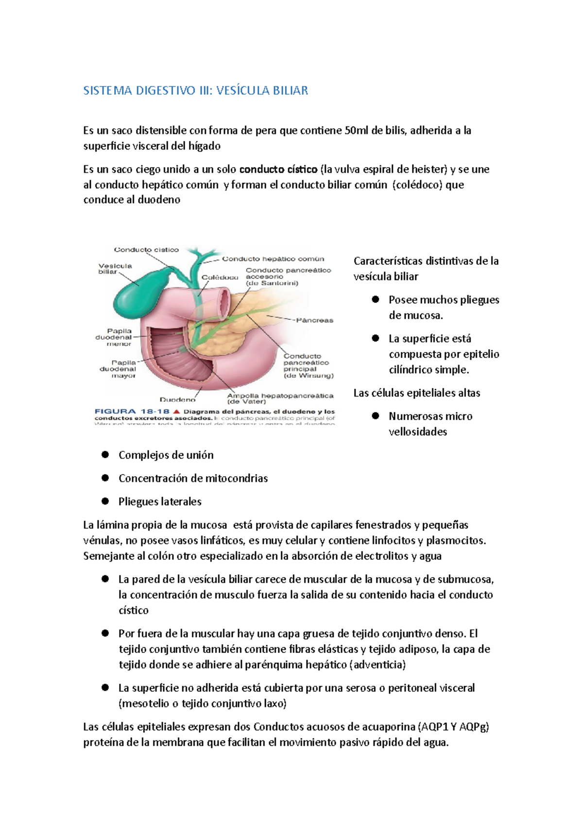 Sistema Digestivo III vesicula biliar - Histología II - UDABOL - Studocu
