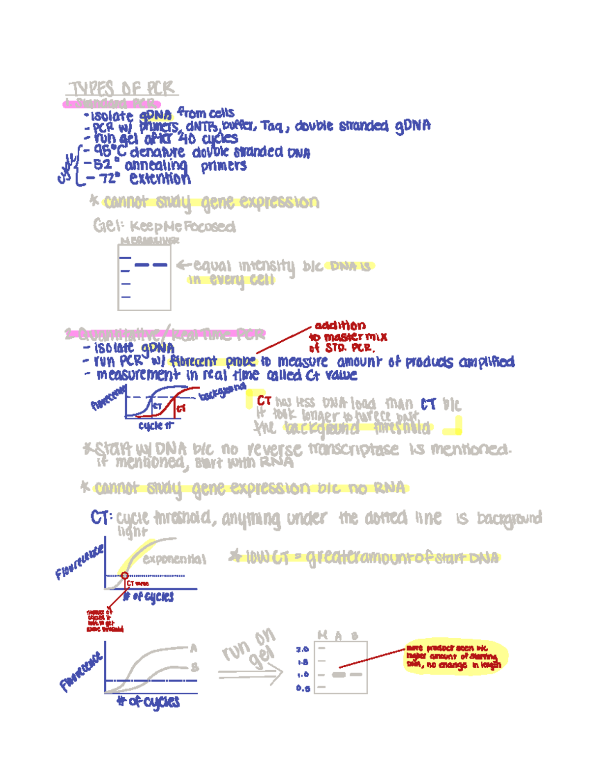 4 Types of PCR - covers standard PCR, QRT-PCR, RT-PCR, quantitive ...