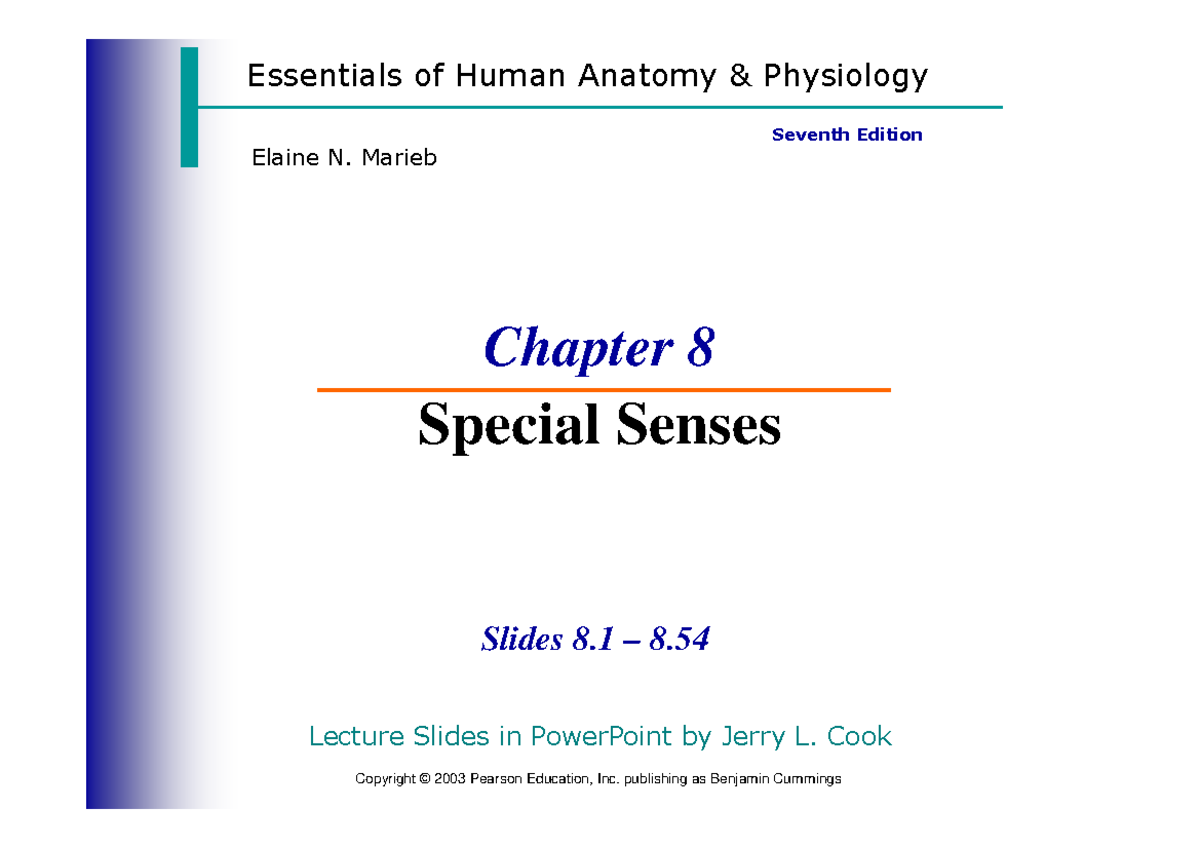 Special Senes of the Body - Essentials of Human Anatomy & Physiology ...