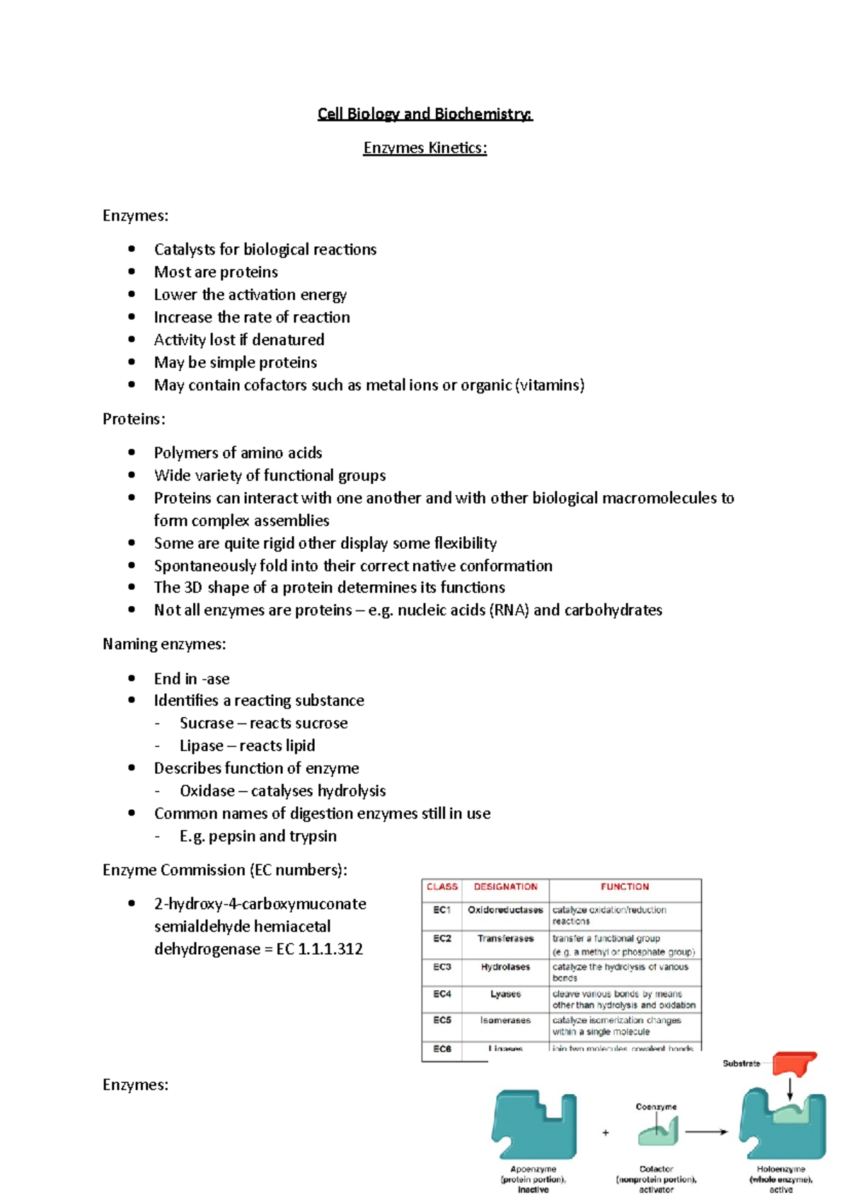 Lecture 17 - Enzyme Kinetics - Cell Biology and Biochemistry: Enzymes ...