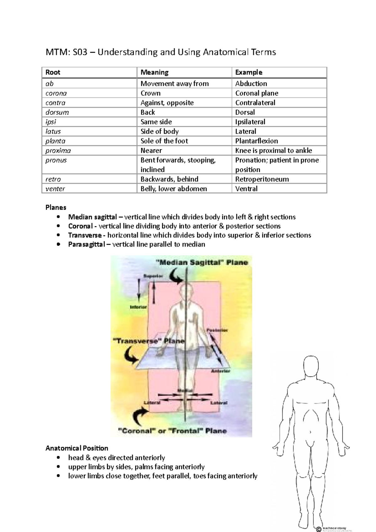 S03 – Understanding and Using Anatomical Terms - Studocu