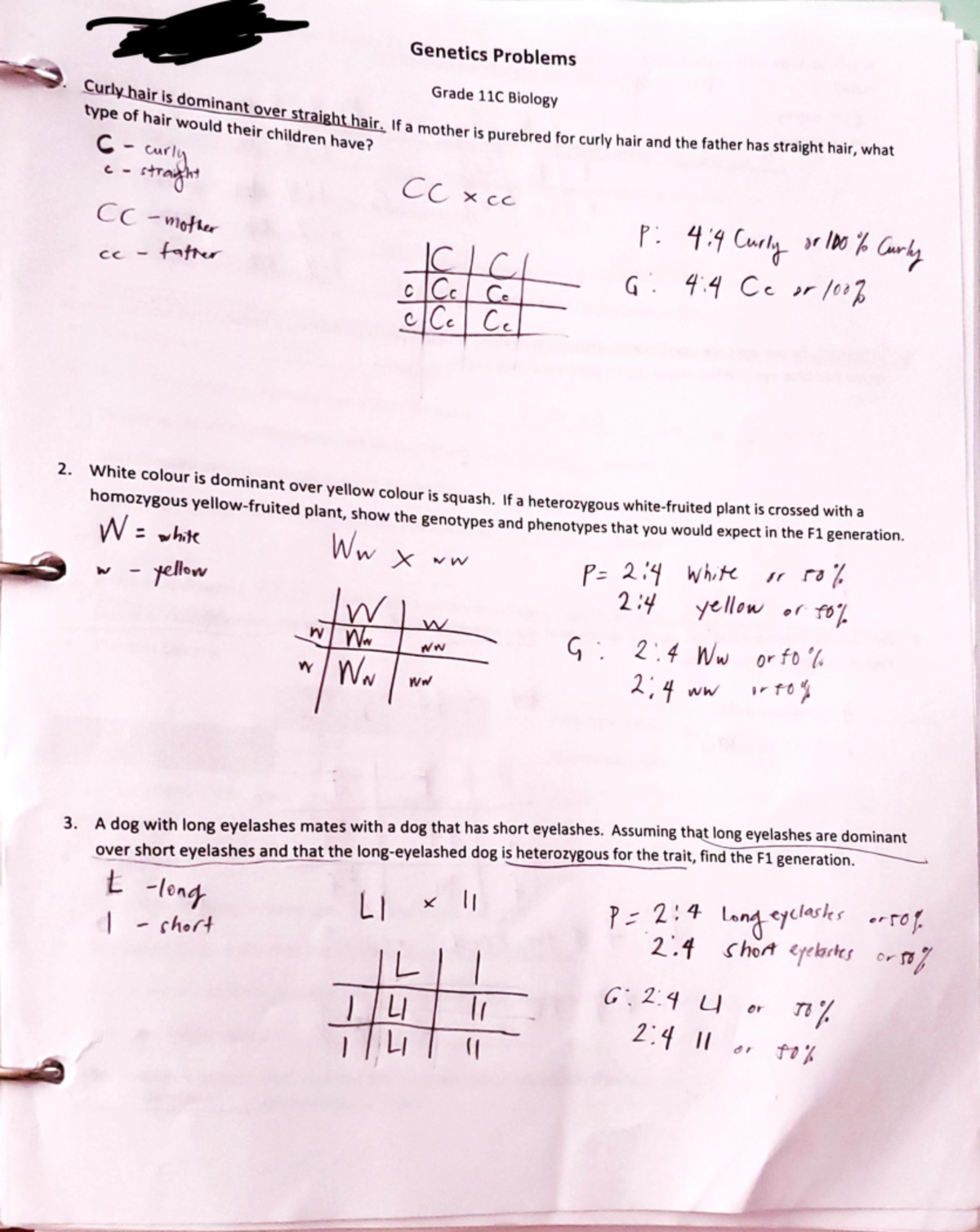 Genetics Problem worksheet - Genetics Problems cu Grade 1 ir is ...