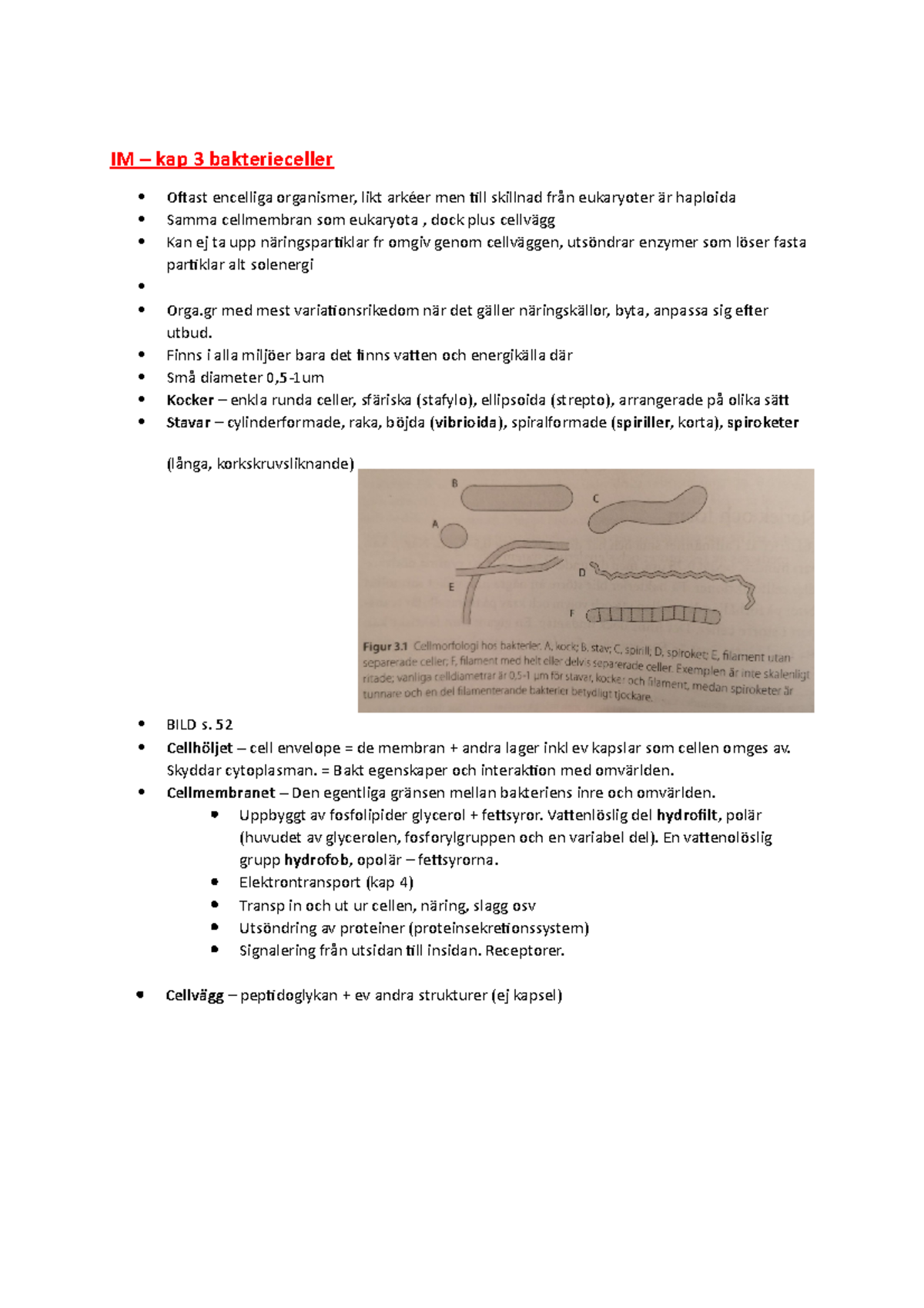 IM - Kap 3 bakterieceller - IM – kap 3 bakterieceller Oftast encelliga ...