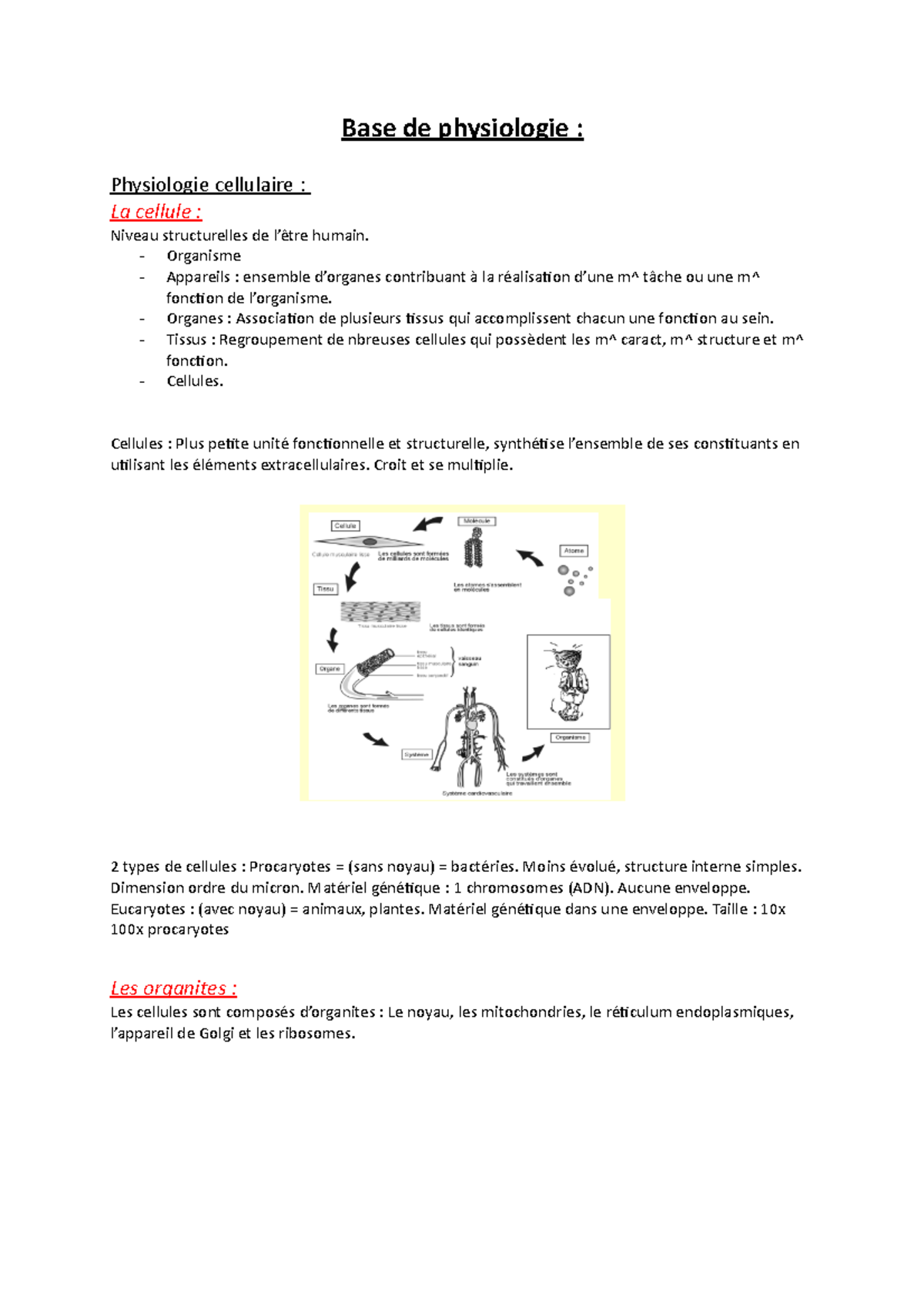 Physiologie cellulaire 1 note de cours - Base de physiologie ...