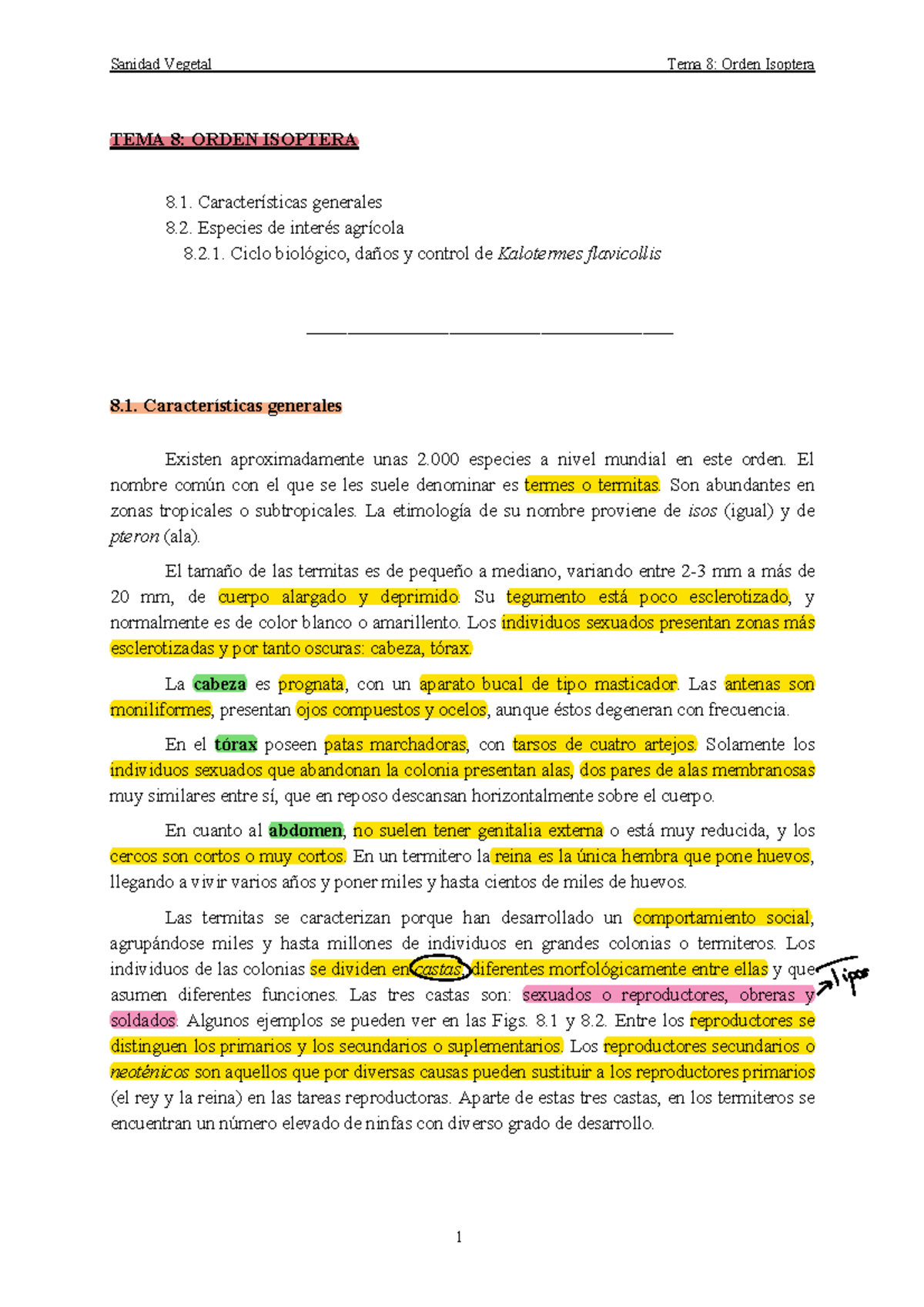 8 Tema 8 - Apuntes 8 - TEMA 8: ORDEN ISOPTERA Características generales ...