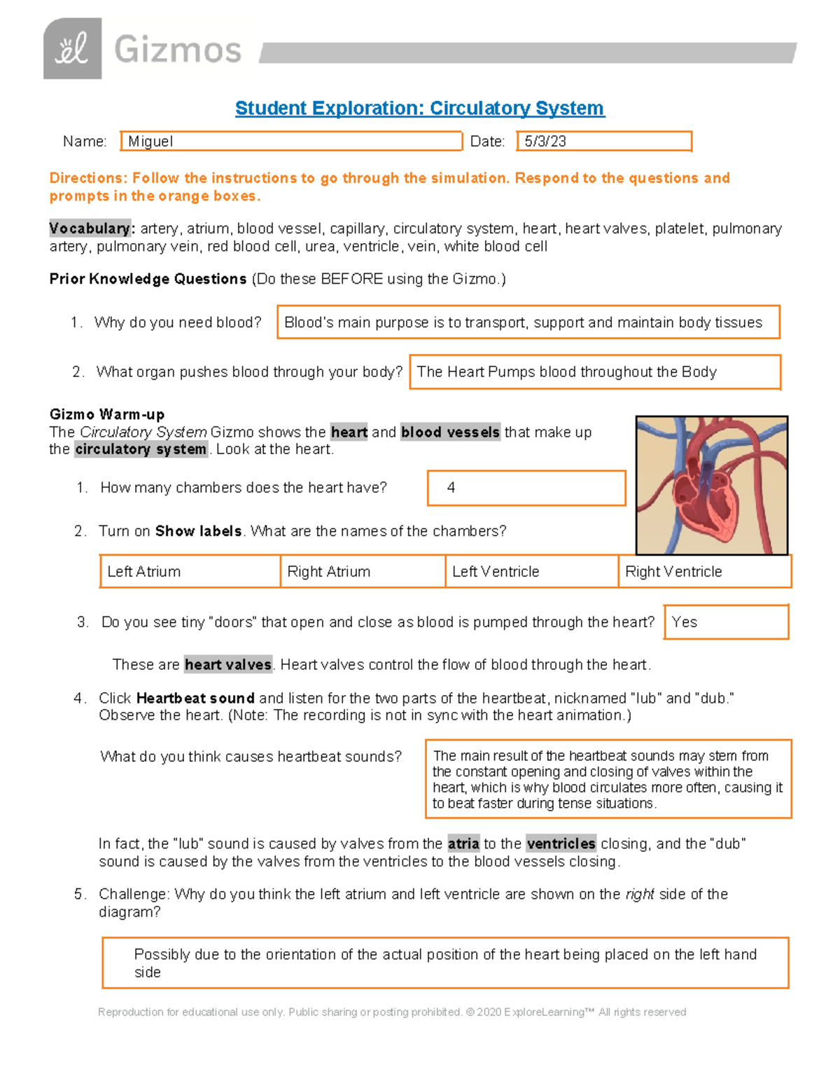 Copy of Circulatory System SE - Student Exploration: Circulatory System ...