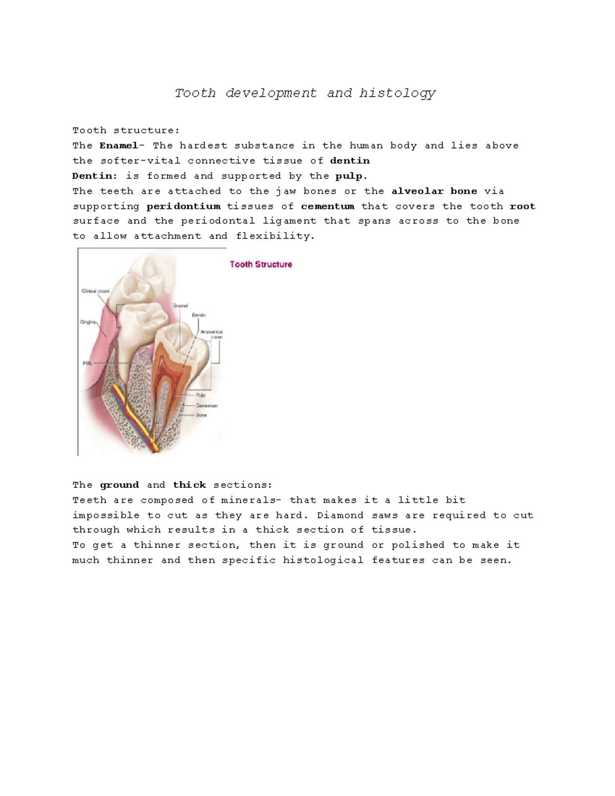 tooth development and histology and hard tissue - Tooth development and ...