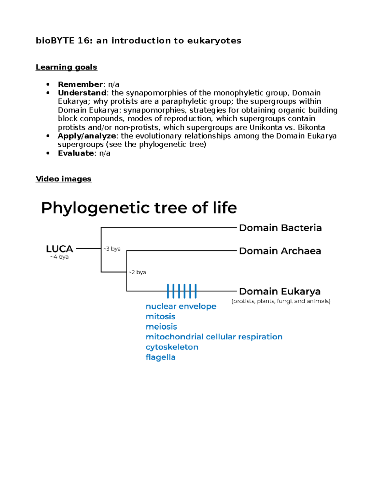 1802.Notes guide.bio BYTE 16 - bioBYTE 16: an introduction to ...