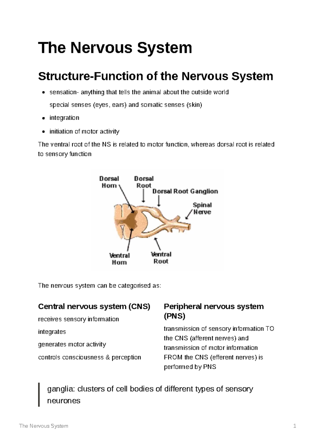 The Nervous System - Neurulation - The Nervous System Structure-Function of the Nervous System ...