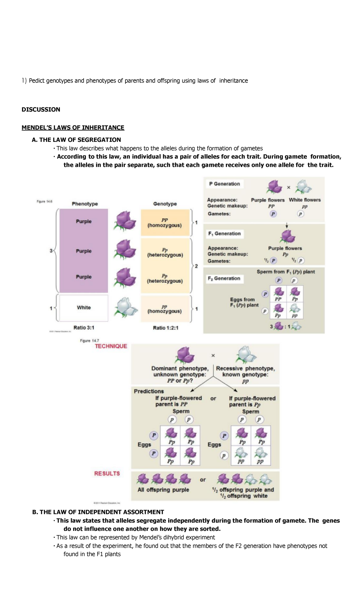 BIO 02 - General Biology - 1) Pedict genotypes and phenotypes of ...