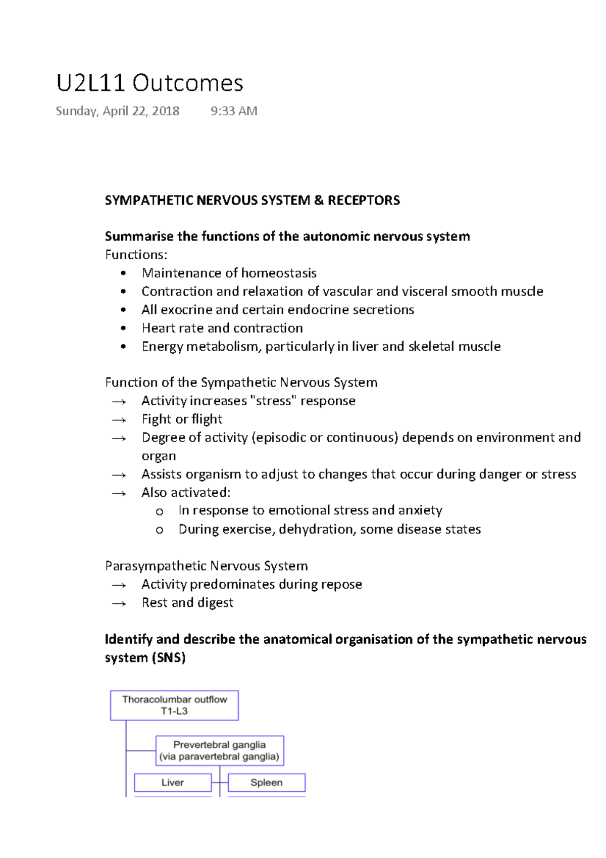 Sympathetic Nervous System & Receptors - Warning: TT: undefined function: 32 SYMPATHETIC NERVOUS ...