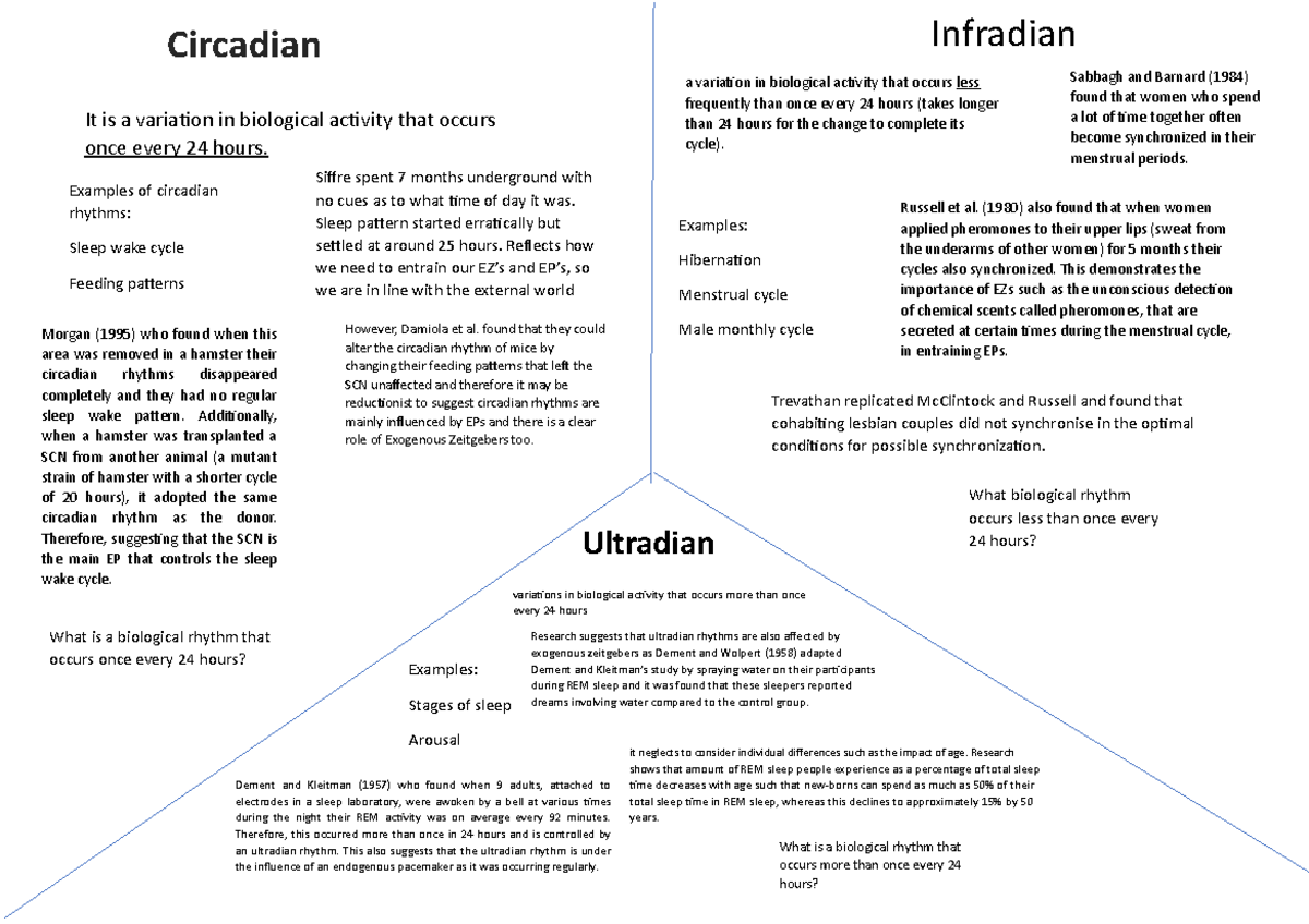 Bio rhythms - mindmap/notes - Dement and Kleitman (1957) who found when ...