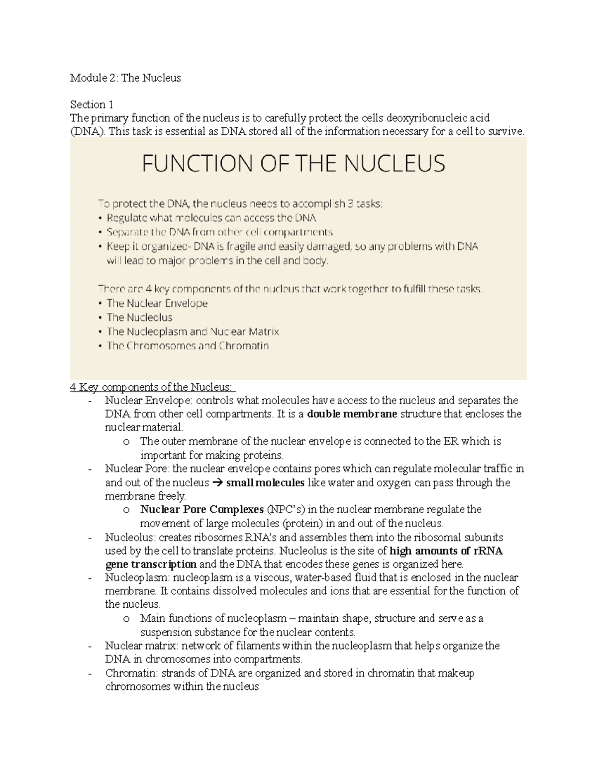 Module 2-PHGY170 - The nucleus (structure and function) - Module 2: The ...