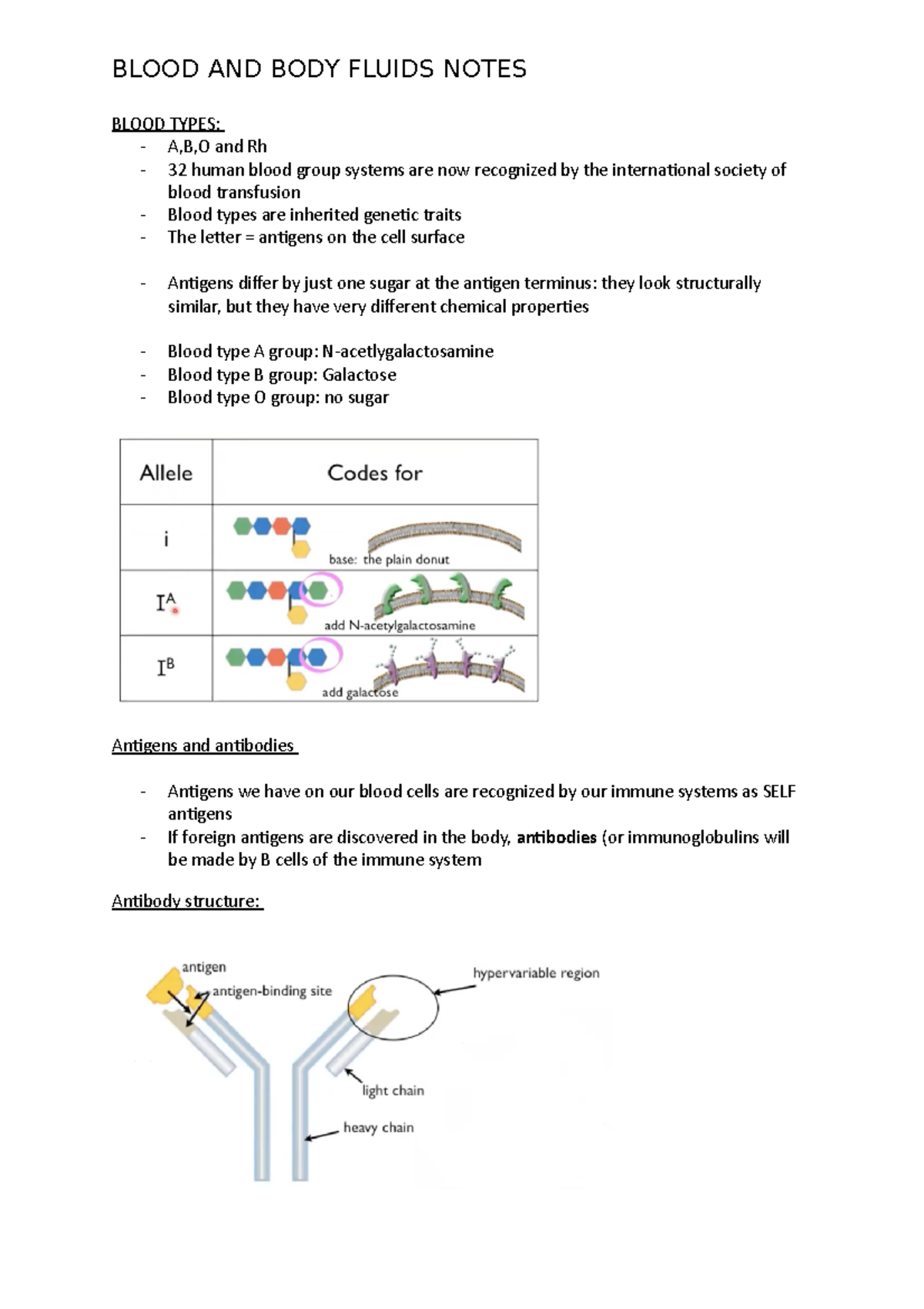 Blood and body fluids notes - BLOOD TYPES: A,B,O and Rh 32 human blood ...