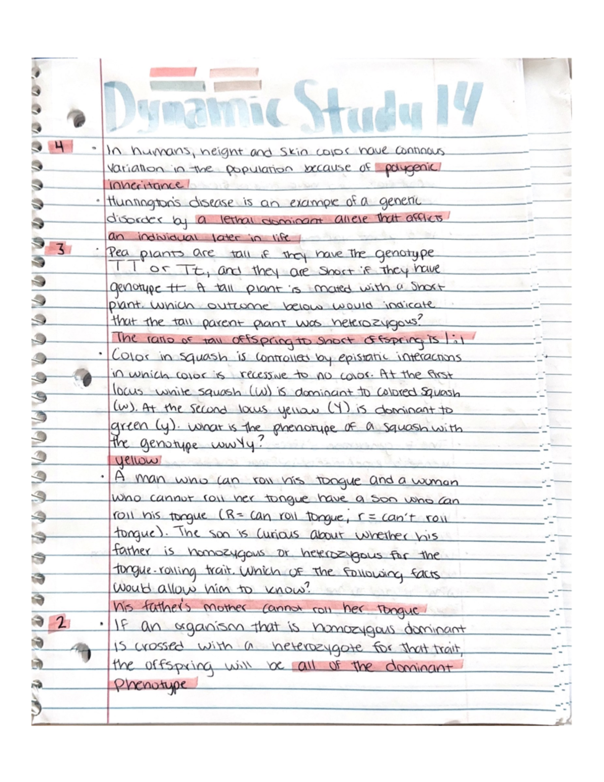 Dynamic study my lab 14 - BSC2010 - Studocu