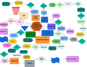 BIO 189 Final Study Guide - BIO 189 Final Study Guide It is recommended ...