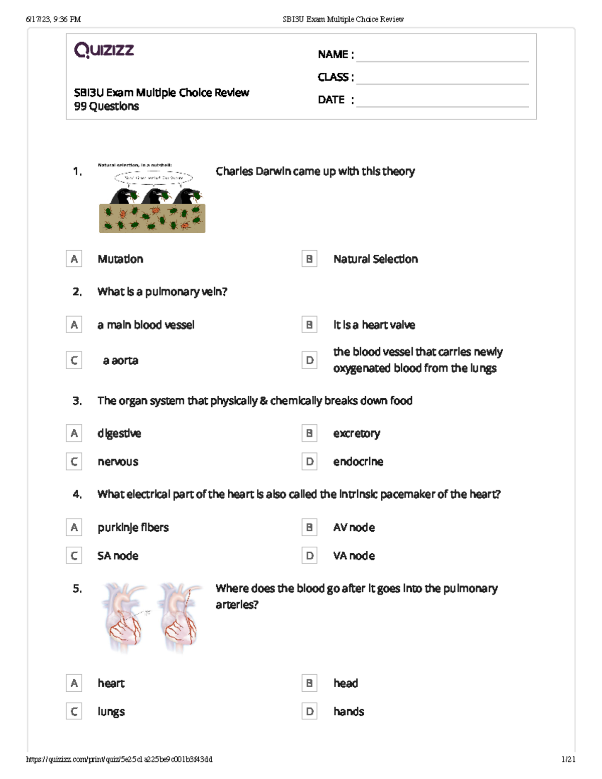 SBI3U Exam Multiple Choice Review - SBI3U Exam Multiple Choice Review ...