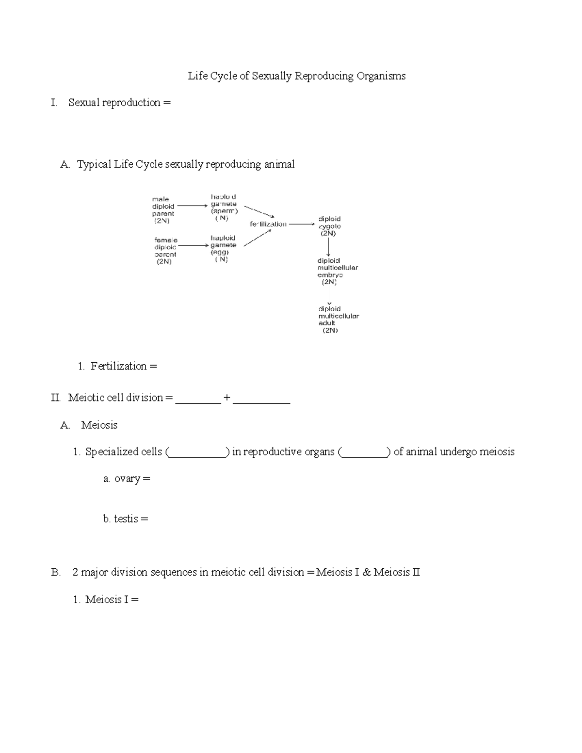 Sex Lifecycle S19 William Glider Life Cycle Of Sexually Reproducing Organisms I Sexual 