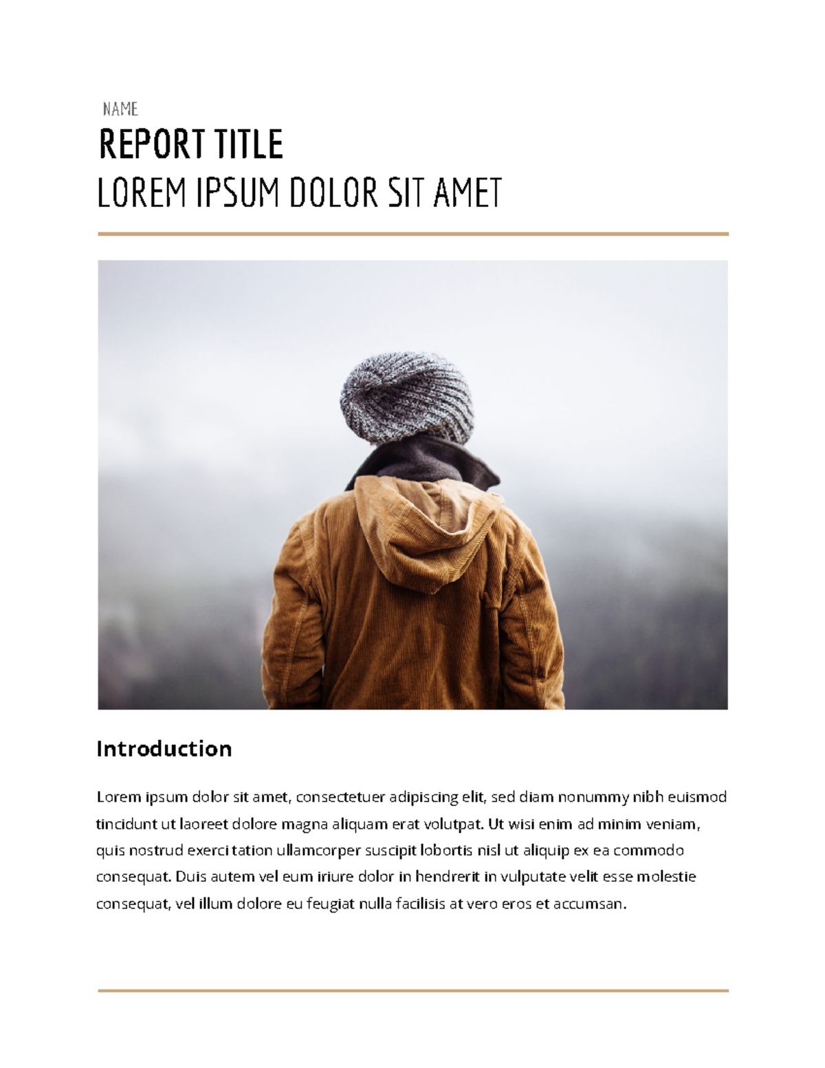 Report - Google Docs - how to make pome - NAME REPORT TITLE LOREM IPSUM ...