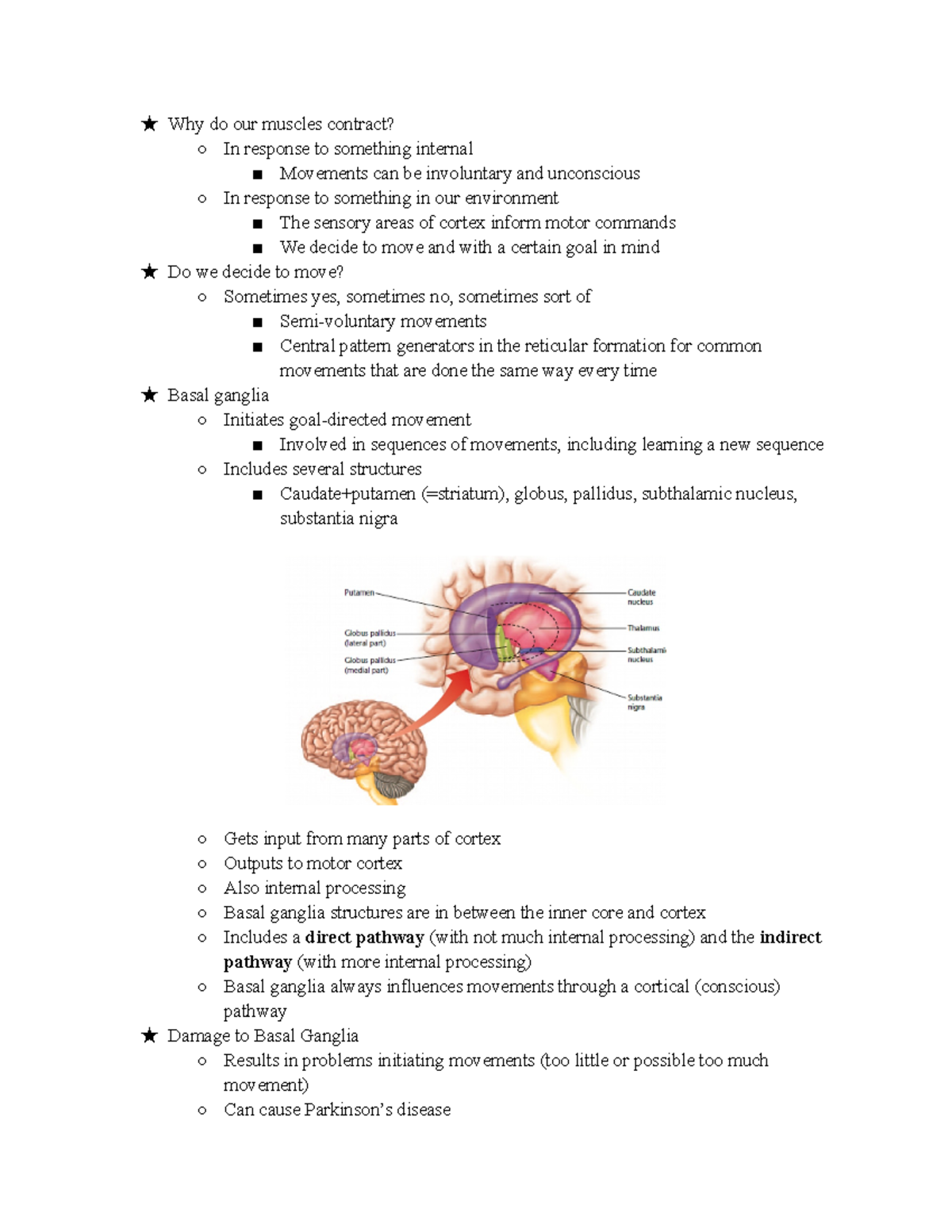 10/19 class notes - ★ Why do our muscles contract? In response to ...
