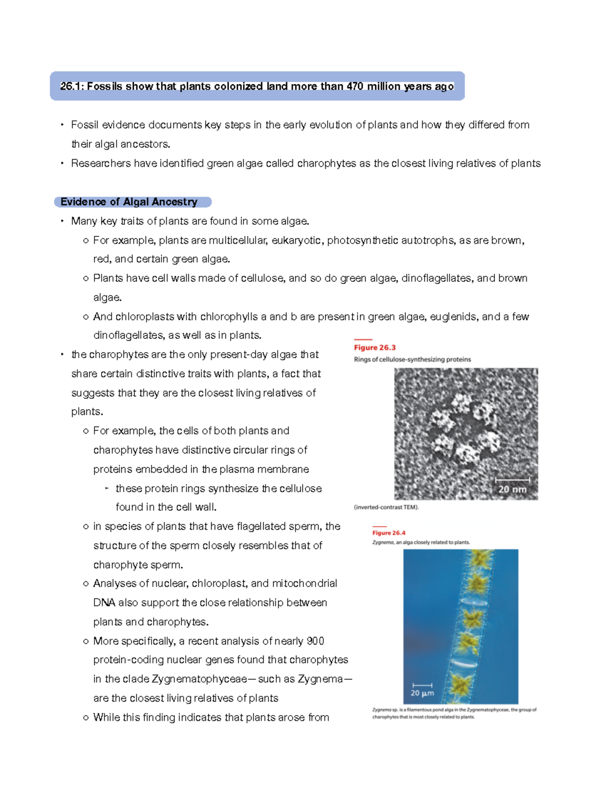Colonization of land - plants Ch. 26 - 26: Fossils show that plants ...