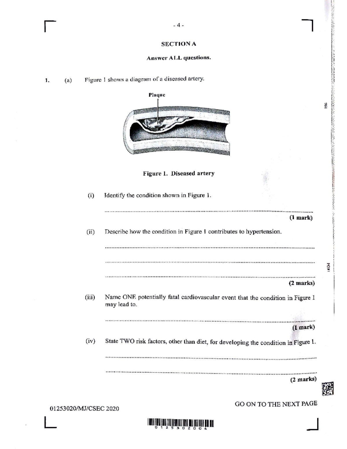 2020 - Past paper questions - biology - Studocu