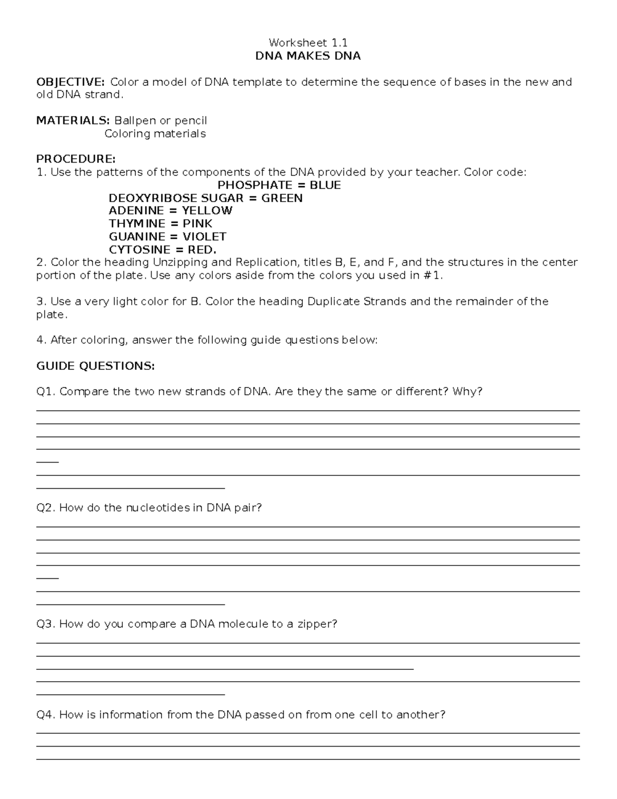 2.2.1 Act. DNA Makes DNA - Worksheet 1. DNA MAKES DNA OBJECTIVE: Color ...