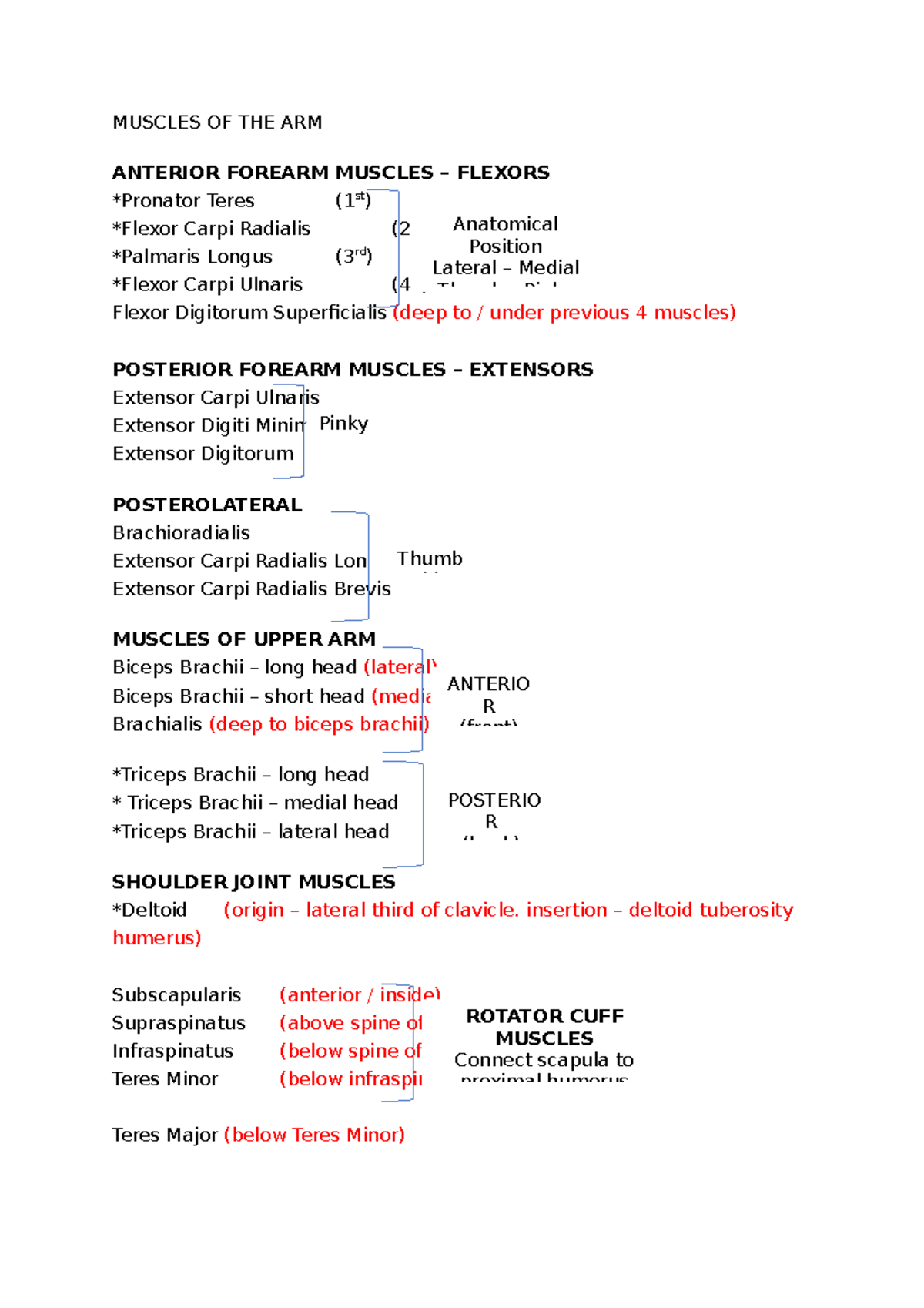 Muscles Of The Anterior Forearm Flexion Pronation Teachmeanatomy