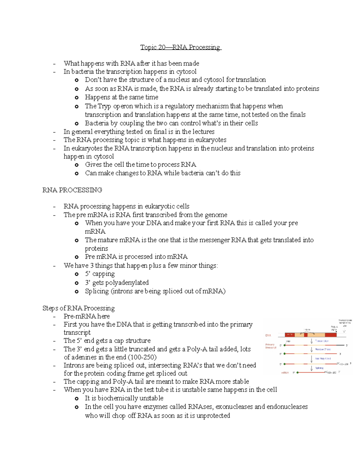 Lecture 20 - RNA Processing - Topic 20—RNA Processing What happens with RNA after it has been ...