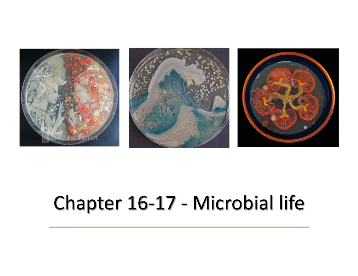 Chapter 16-17 - Microbial Life (ML) - Chapter 16- 17 - Microbial life ...