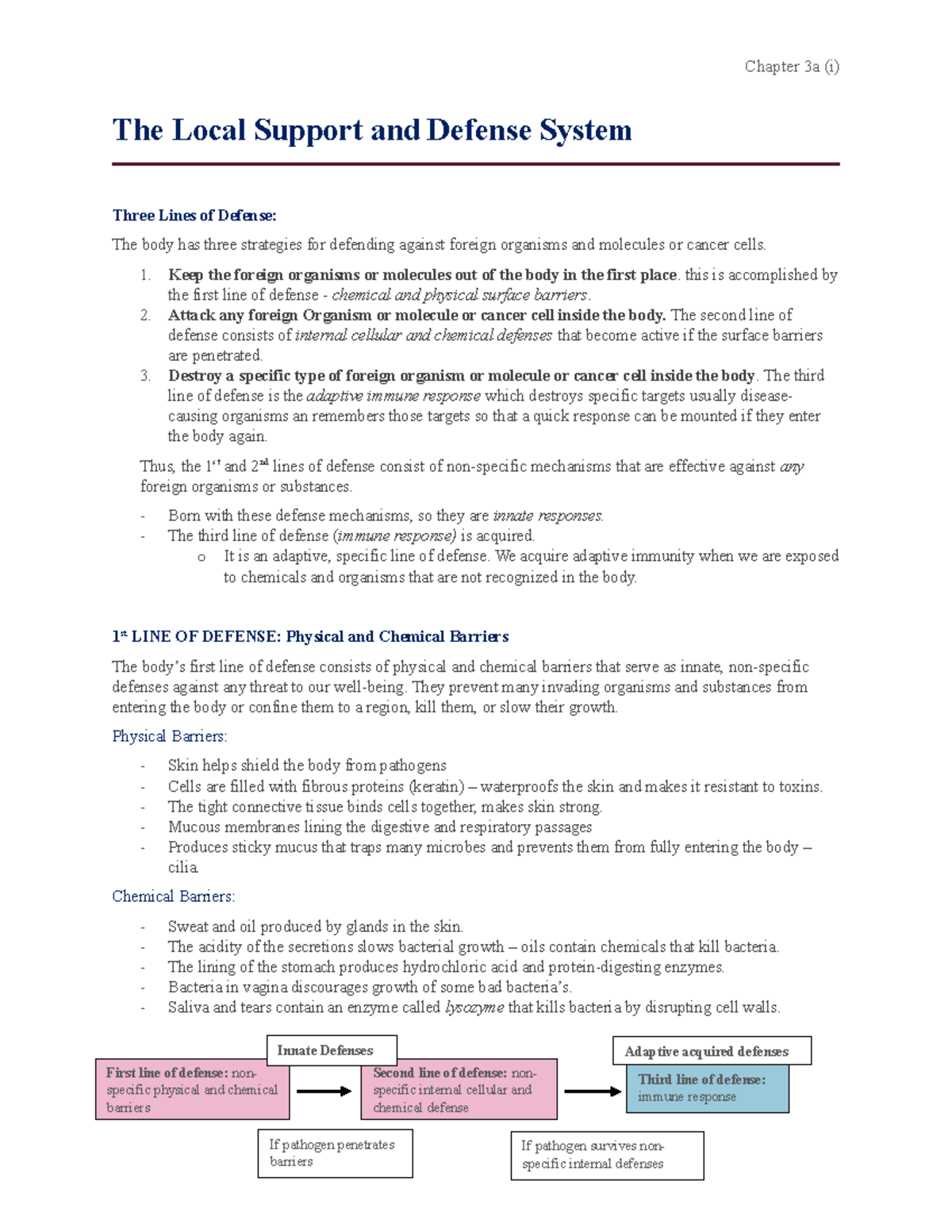 BIOL1080 EXAM - Local Support and Defense System - Chapter 3a (i) The ...