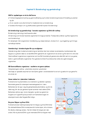 Fordeler og ulemper med vindkraft - Bjarne Birkeland 1C Fordeler og ...