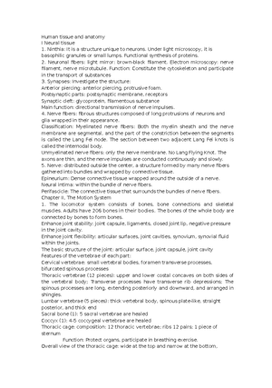 Anatomical Summary of Joints and Body Curvatures - Studocu