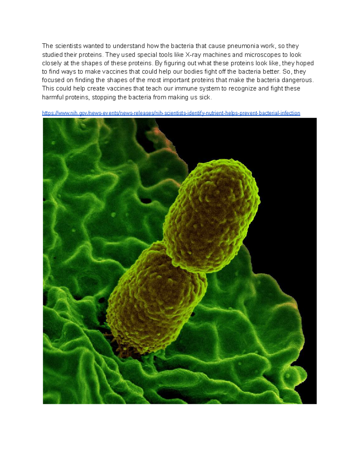 404 - nbbbbbbbbbbbbbbbbbb - The scientists wanted to understand how the ...