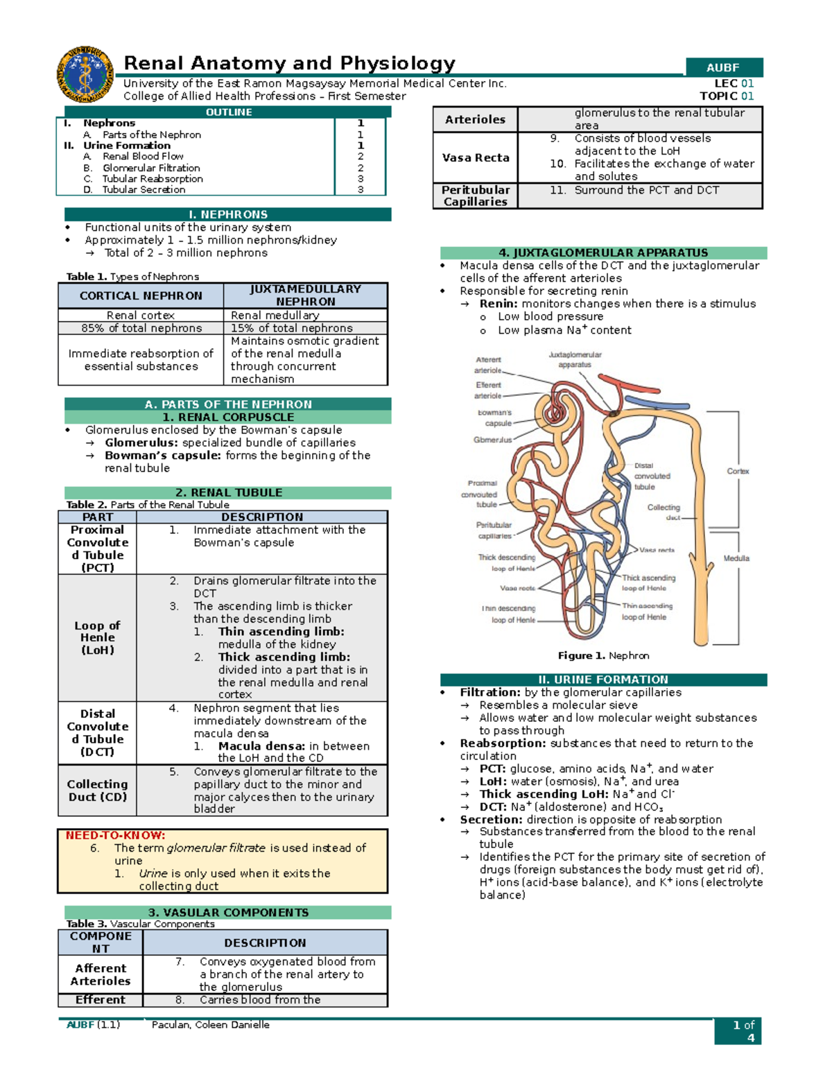 AUBF Lecture 1.1 - Renal Anatomy and Physiology AUBF University of the East Ramon Magsaysay ...