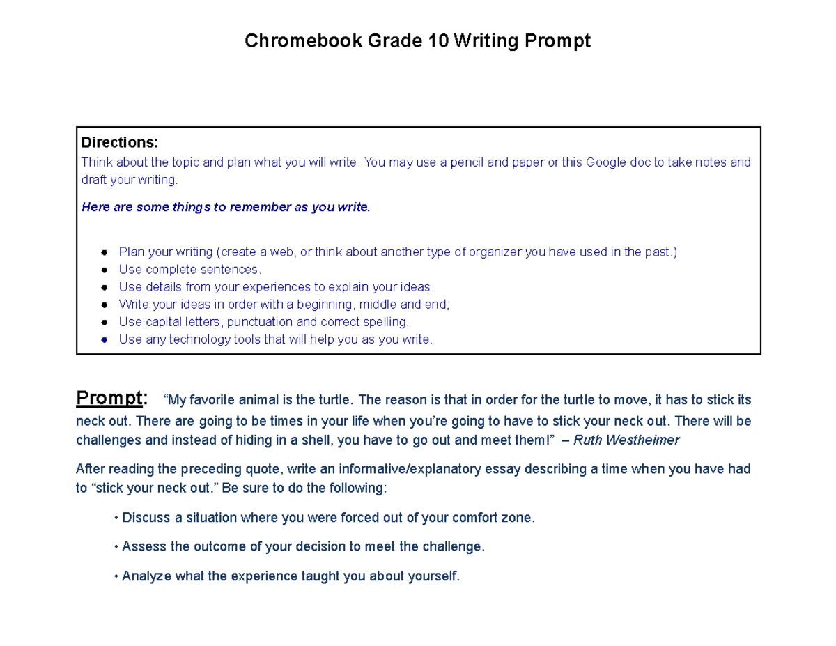 The Turtle - Chromebook Grade 10 Writing Prompt Directions: Think about ...
