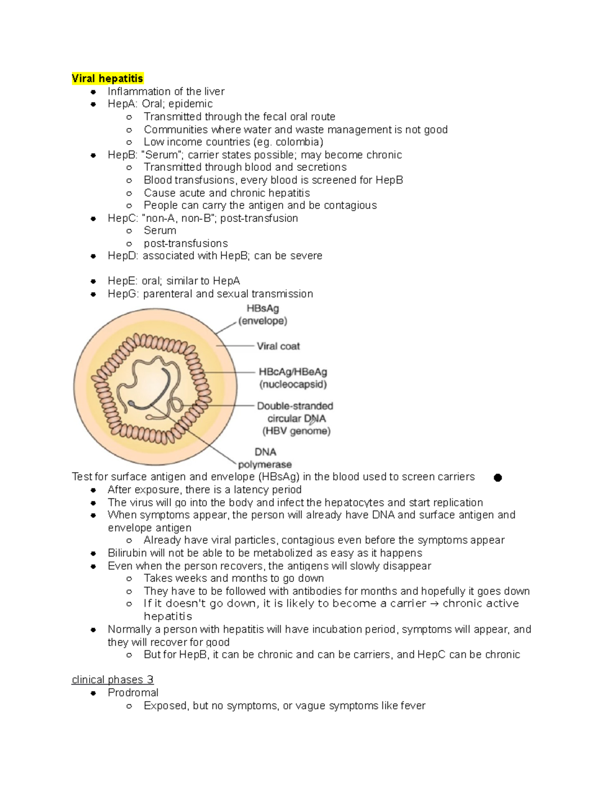 Digestive disorders II - Viral hepatitis Inflammation of the liver HepA ...