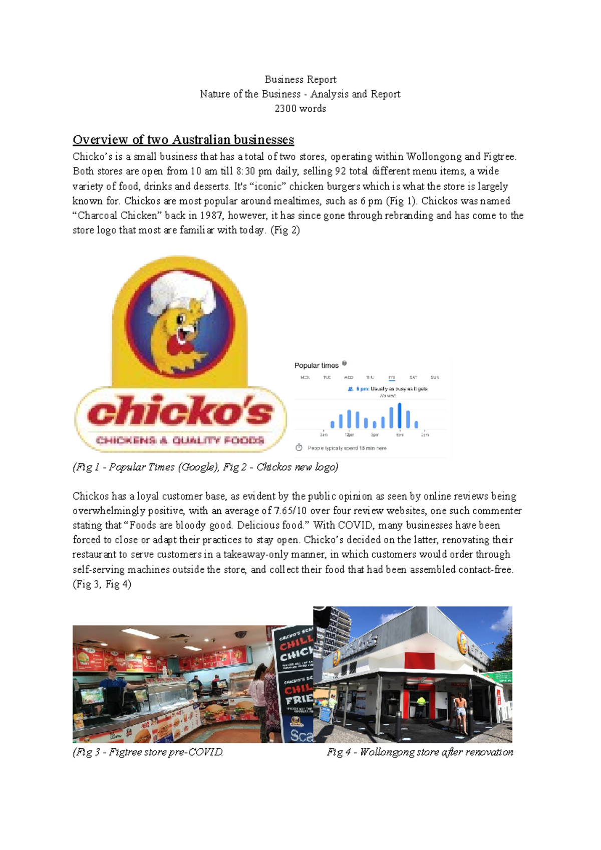 Business Report - Business Report Nature of the Business - Analysis and ...
