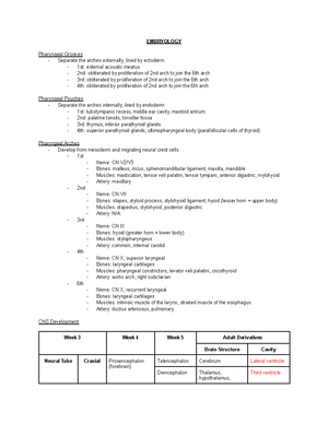 Muscle Cheat Sheet (Innervations and Motions) - E YE E XPRESSIONS ...