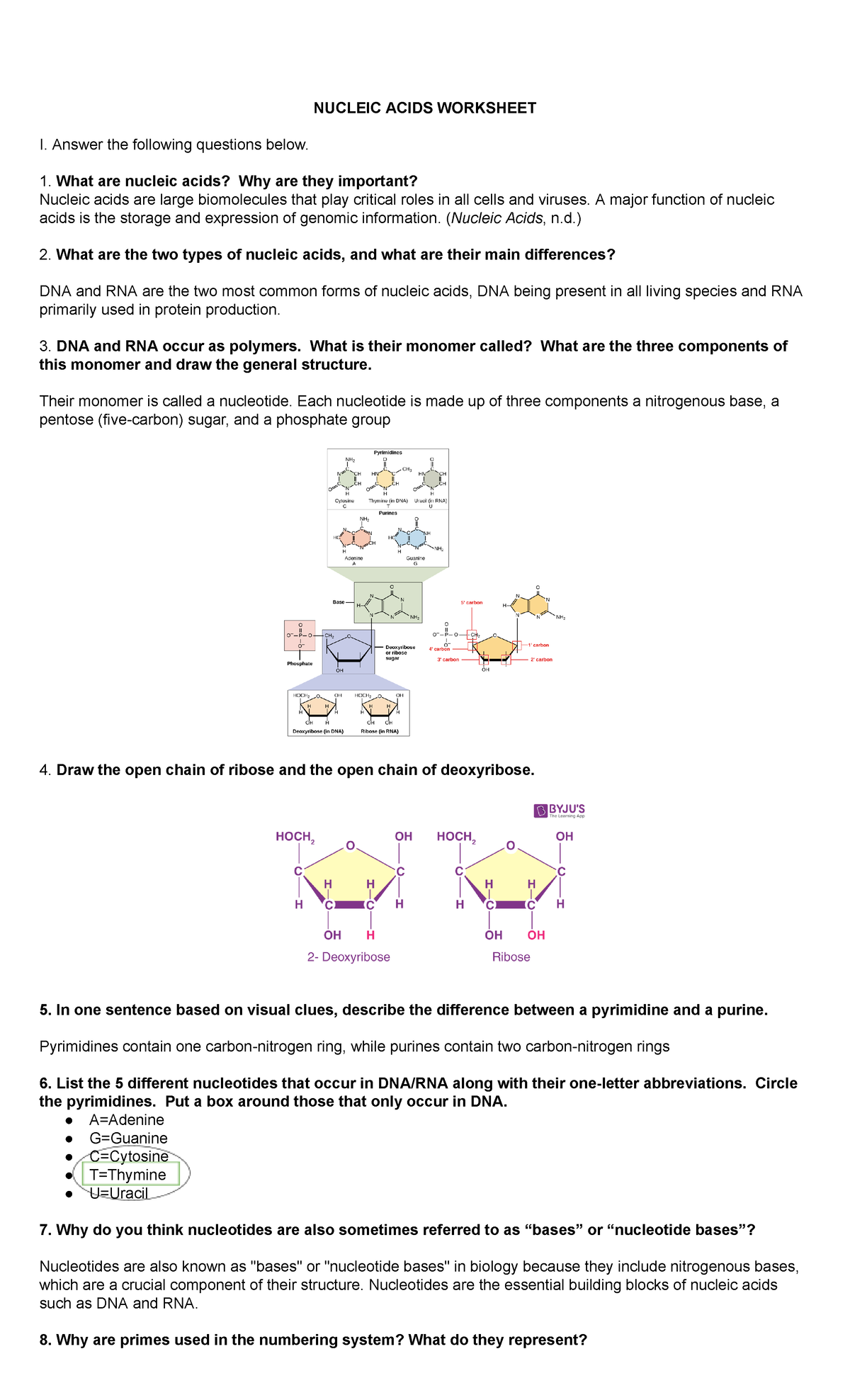 Nucleic- Acids- Worksheet.docx - NUCLEIC ACIDS WORKSHEET I. Answer the ...